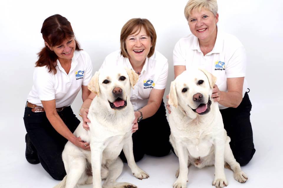 The Perfect Job for the Over 50s | Barking Mad UK