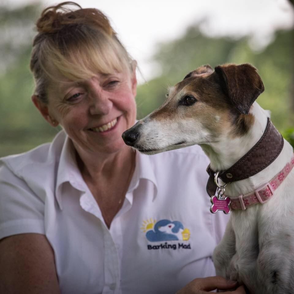 How To Choose A Dog Sitter Checklist