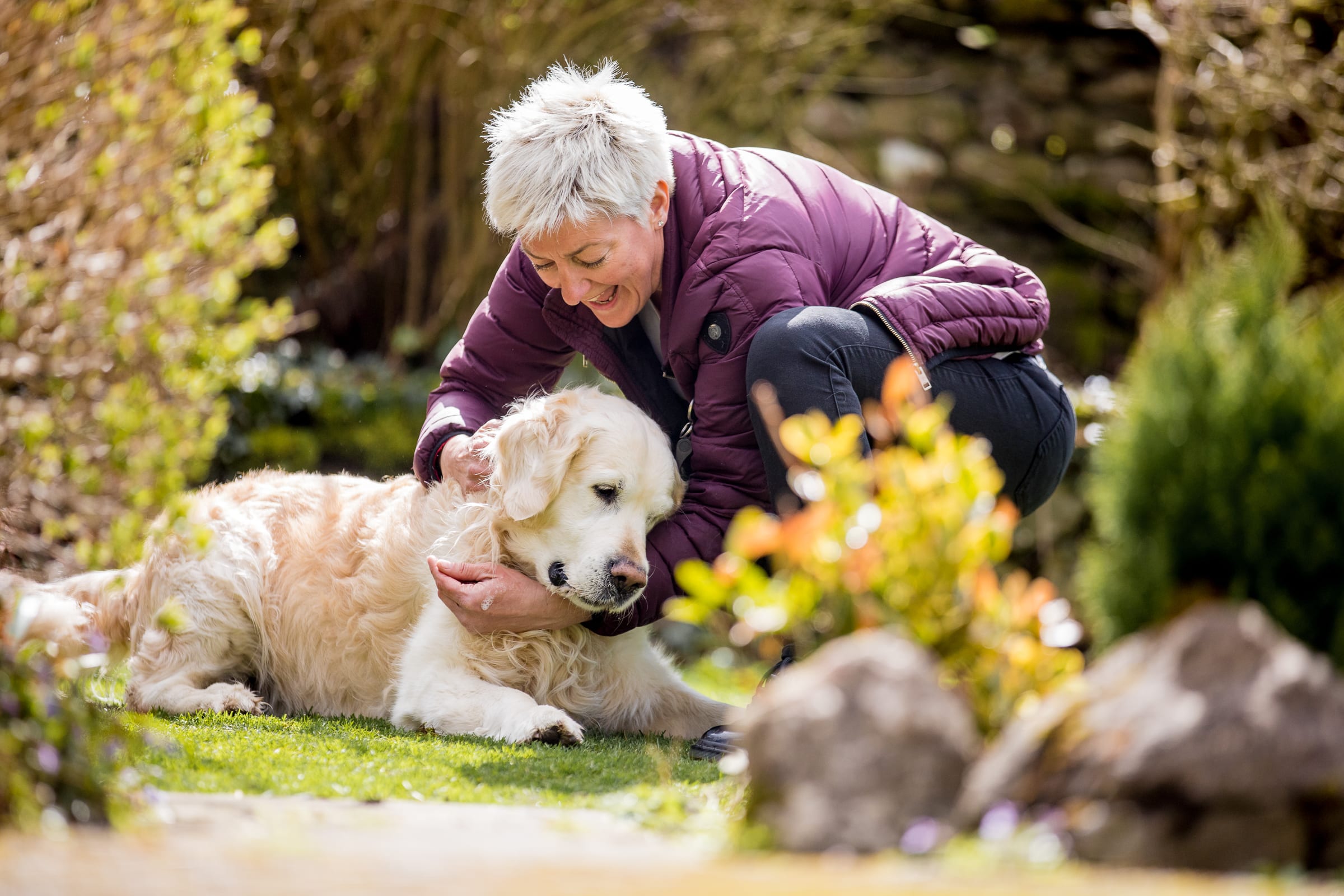 Why Choose Barking Mad? | Barking Mad